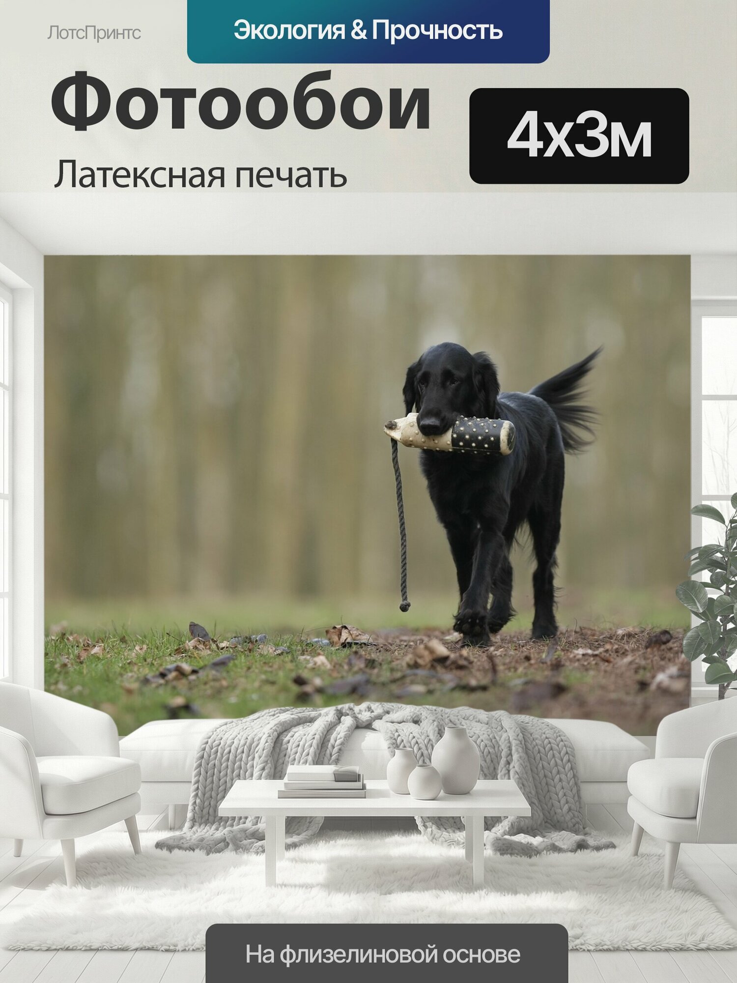 Фотообои моющиеся ударопрочные "Собака, прямошерстная ретривер, охота" 400x300 см. латексная печать