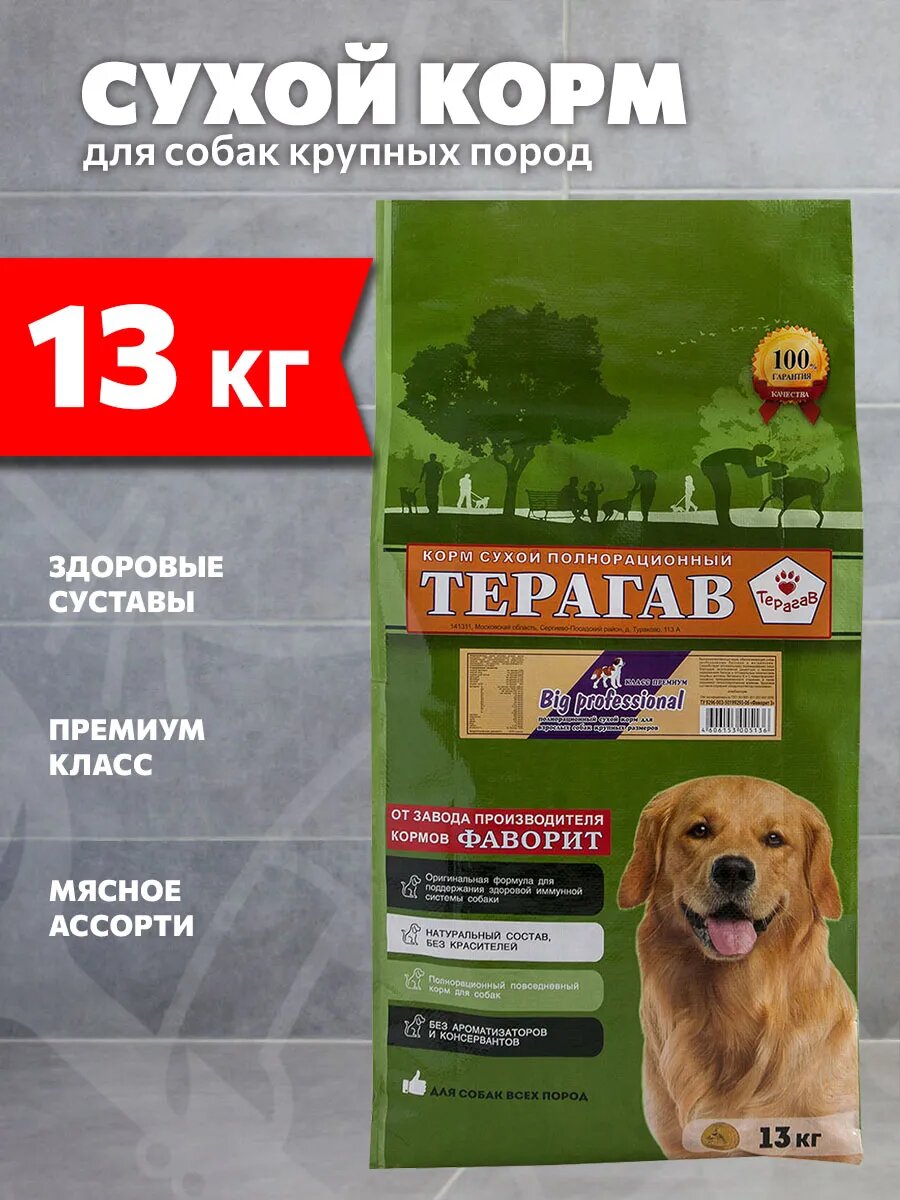 Корм сухой Терагав Big Professional для взрослых собак крупных пород, 13 кг