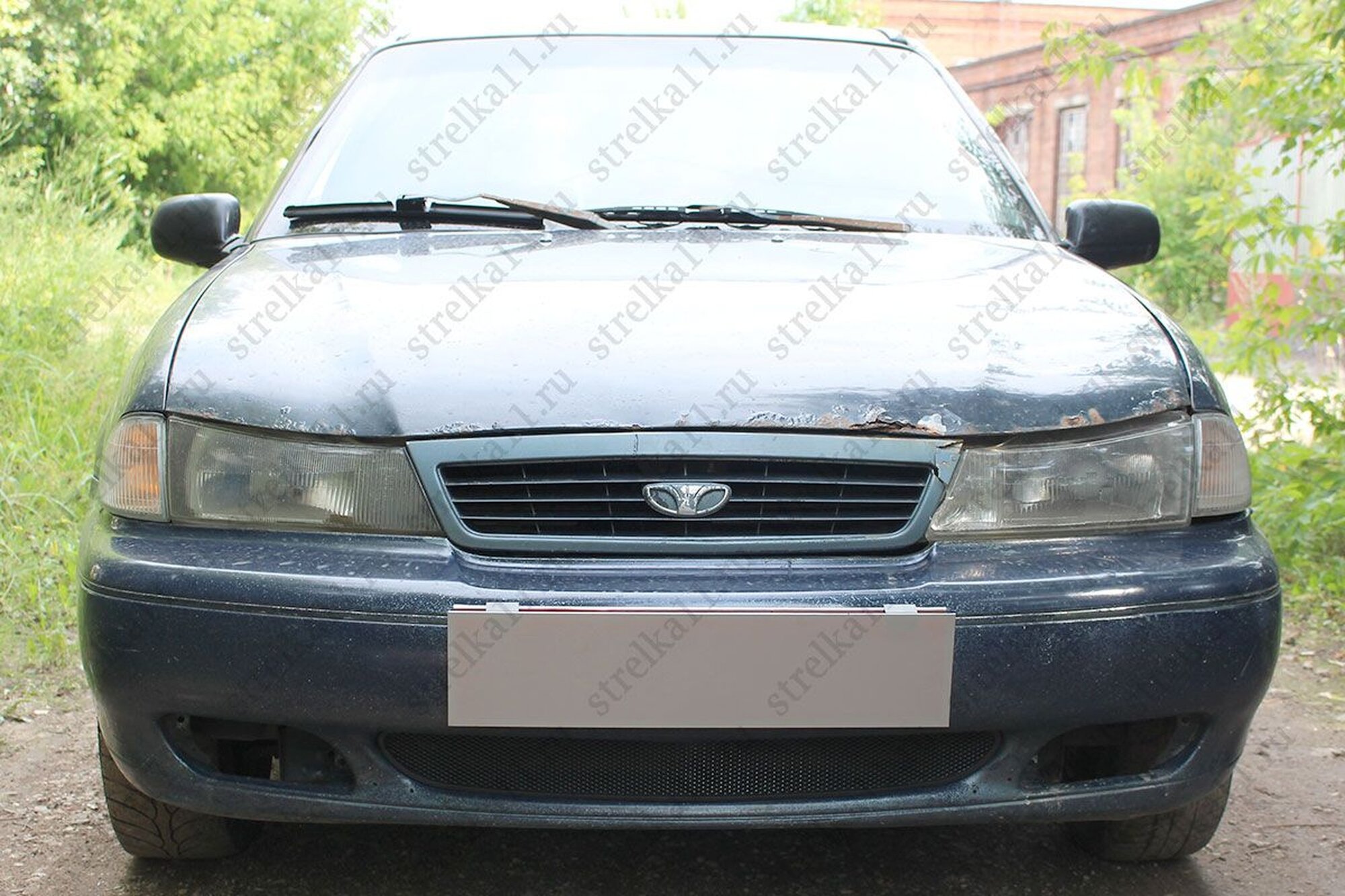 Защитная сетка радиатора с окантовкой и защелками для Daewoo Nexia (N-100) 1994-2008 (I)
