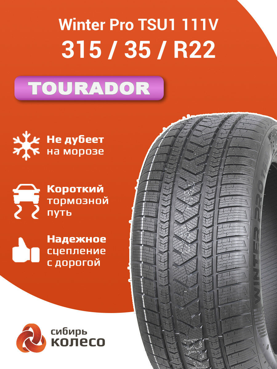 315/35R22 Tourador Winter Pro TSU1 111V