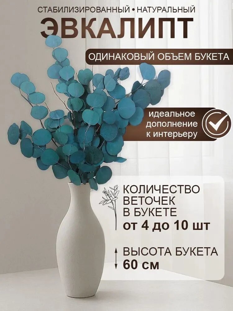 Сухоцветы Эвкалипт стабилизированный натуральный голубой 60 см 1 шт