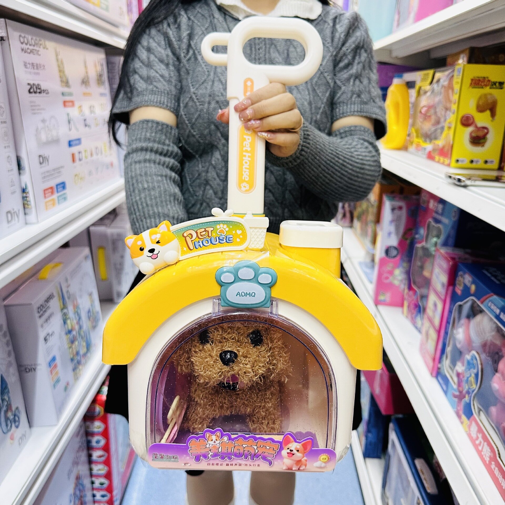 Супер милая игрушка для детей Super Shengmang: электрическая плюшевая собака, кролик, чемодан-тележка, маленький домик, игрушечный домик для питомца.