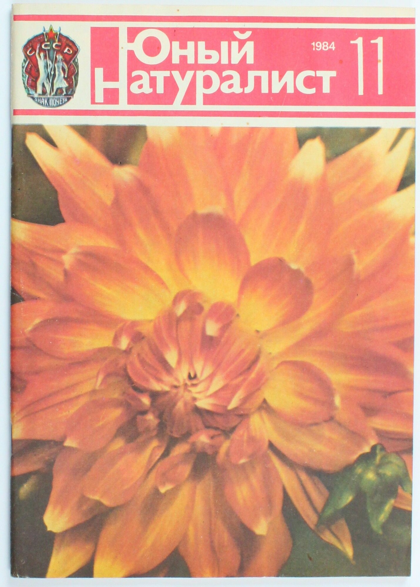 Винтажный журнал СССР Юный Натуралист, выпуск 11/1984