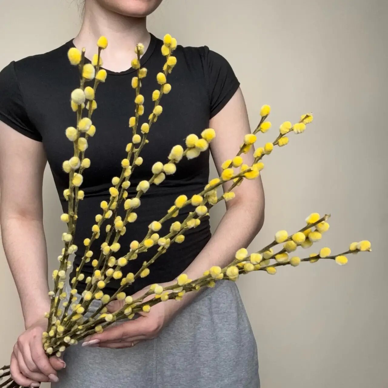 Пучок желтой вербы ,11 шт (окрашена) , Голландия , Ver Flowers