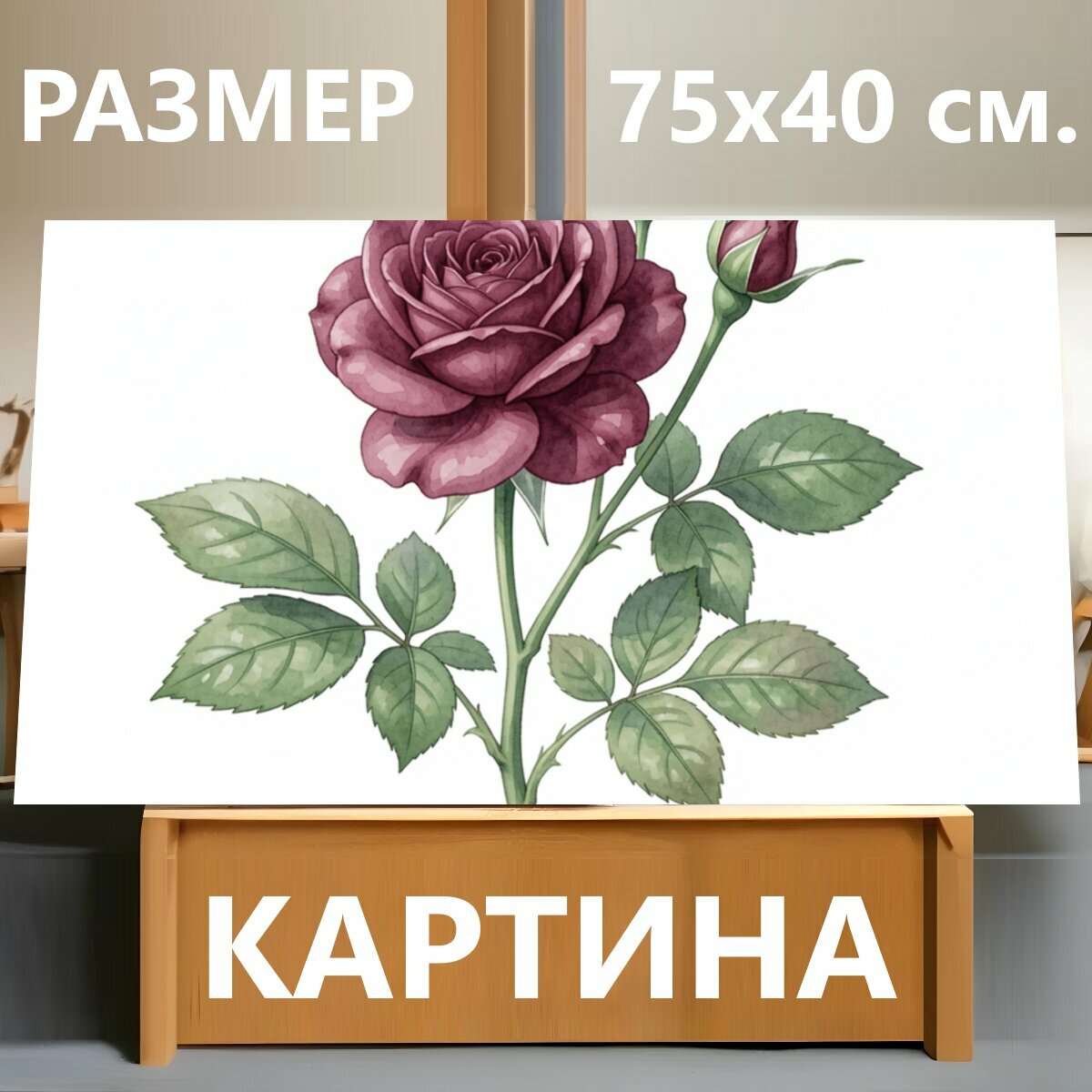 Картина на холсте "Пурпурная роза с бутонами. Изящная ботаническая иллюстрация с распустившимся цветком и двумя нераскрытыми почками, нежные." на подрамнике 75х40 см. для интерьера