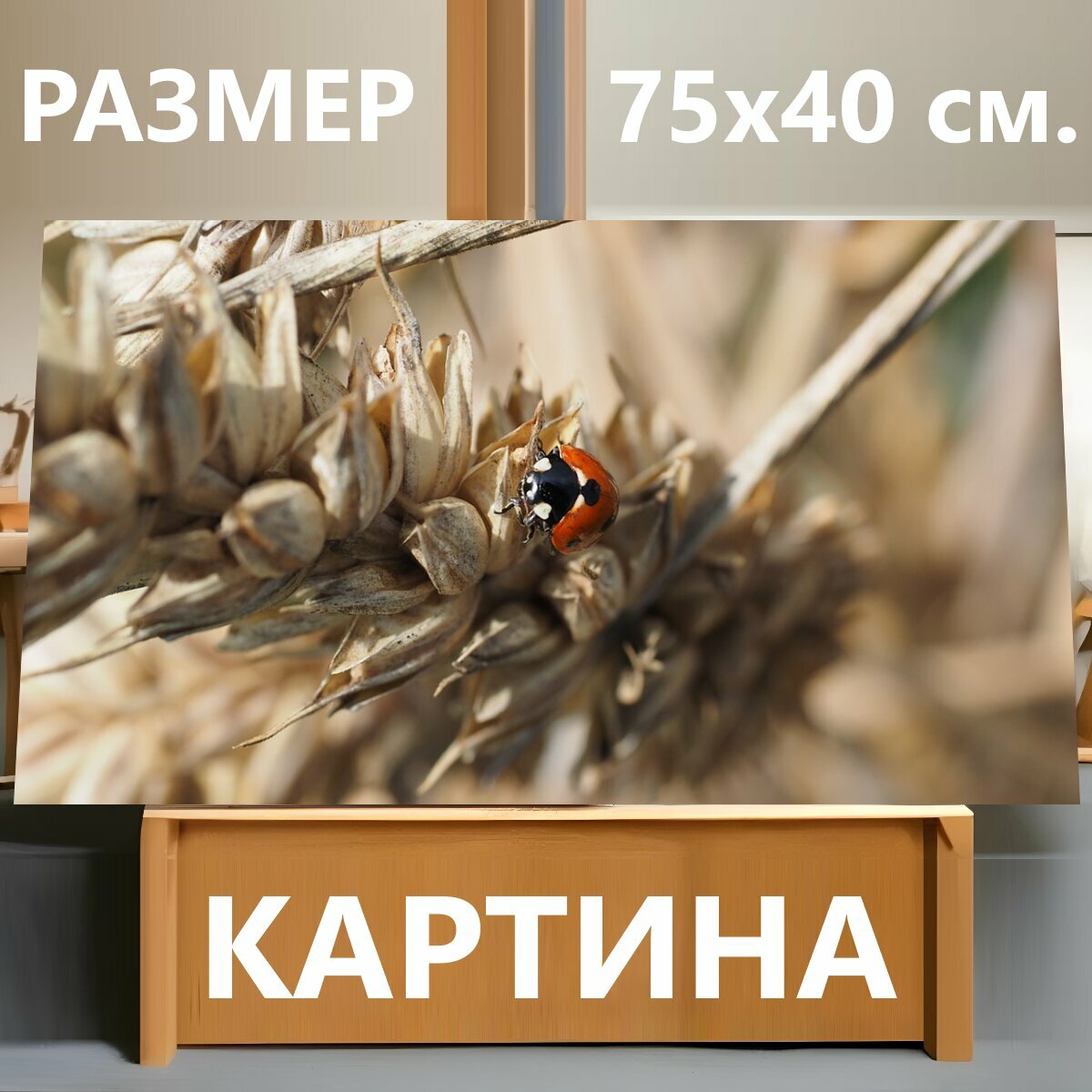 Картина на холсте "Божья коровка, жук, семь баллов" на подрамнике 75х40 см. для интерьера