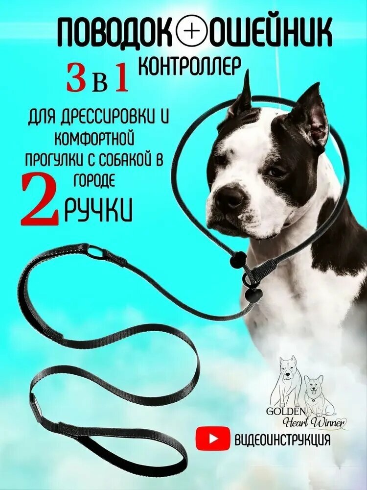 Поводок-контроллер для собак 3 в 1 удавка с 2 ручками для дрессировки и крупных пород, анатомический ошейник-удавка для средних собак, 170 см