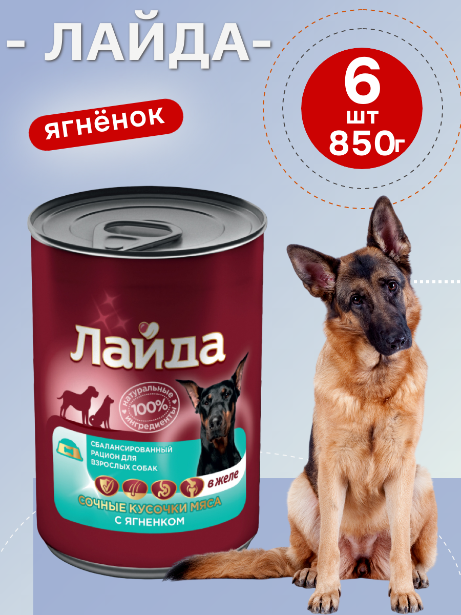 Консервы влажный корм для собак лайда Ягненок в желе 6шт по 850гр