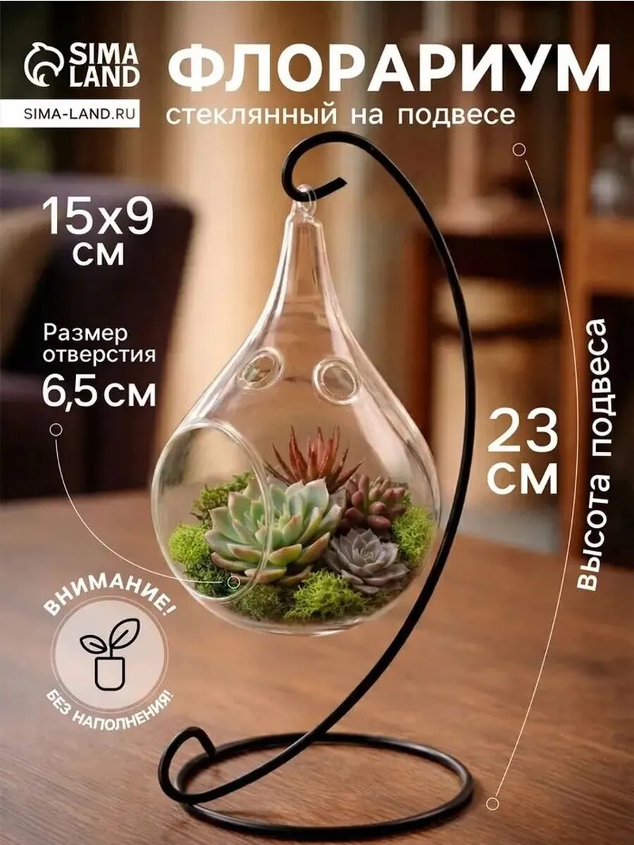 Элегантный флорариум в форме груши с подвесом