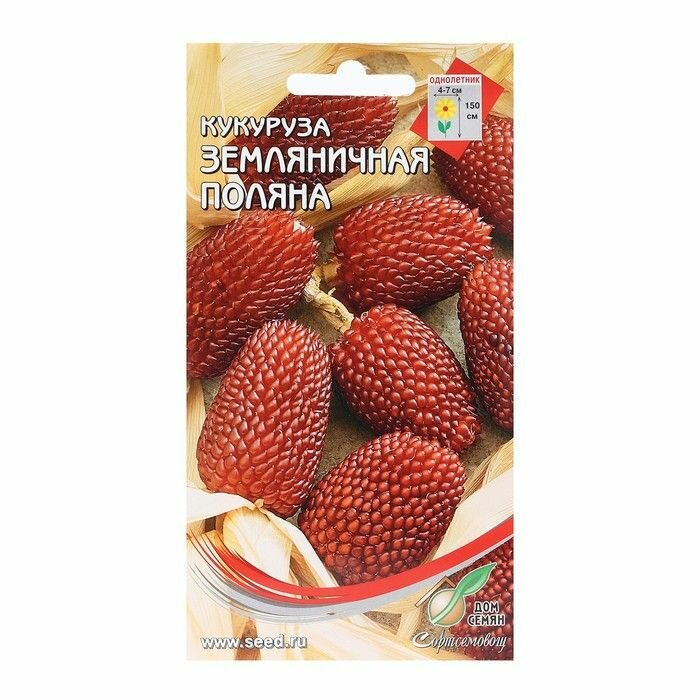 Семена Кукуруза 'Земляничная Поляна', декоративная, 14 шт
