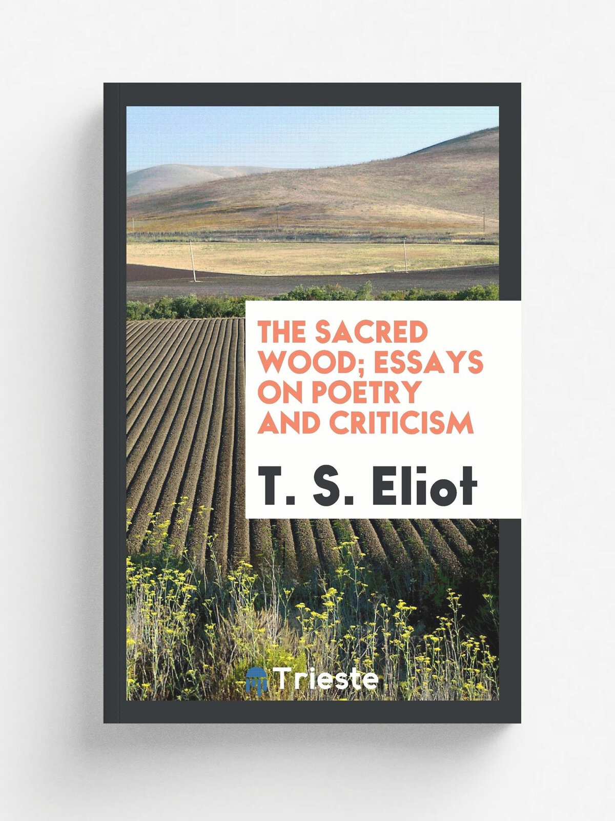The sacred wood; essays on poetry and criticism