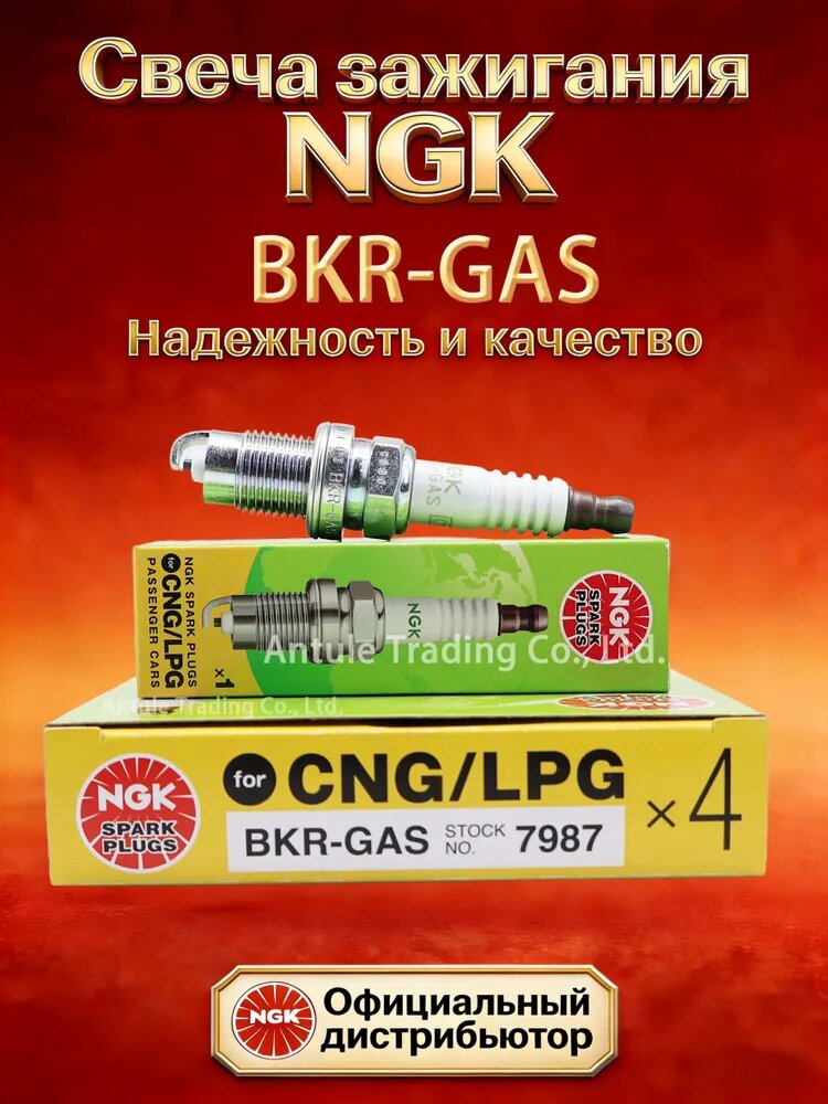 NGK Свеча зажигания арт. 7987/BKR-GAS Фиат Мультипла, Фиат Арджента, Пежо, Хонда, Тойота, Ниссан OE:90048-51167, 4 шт.
