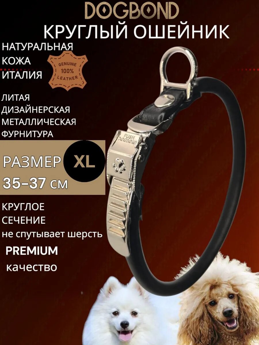 Ошейник Dogbond круглый для японских шпицев и пуделей