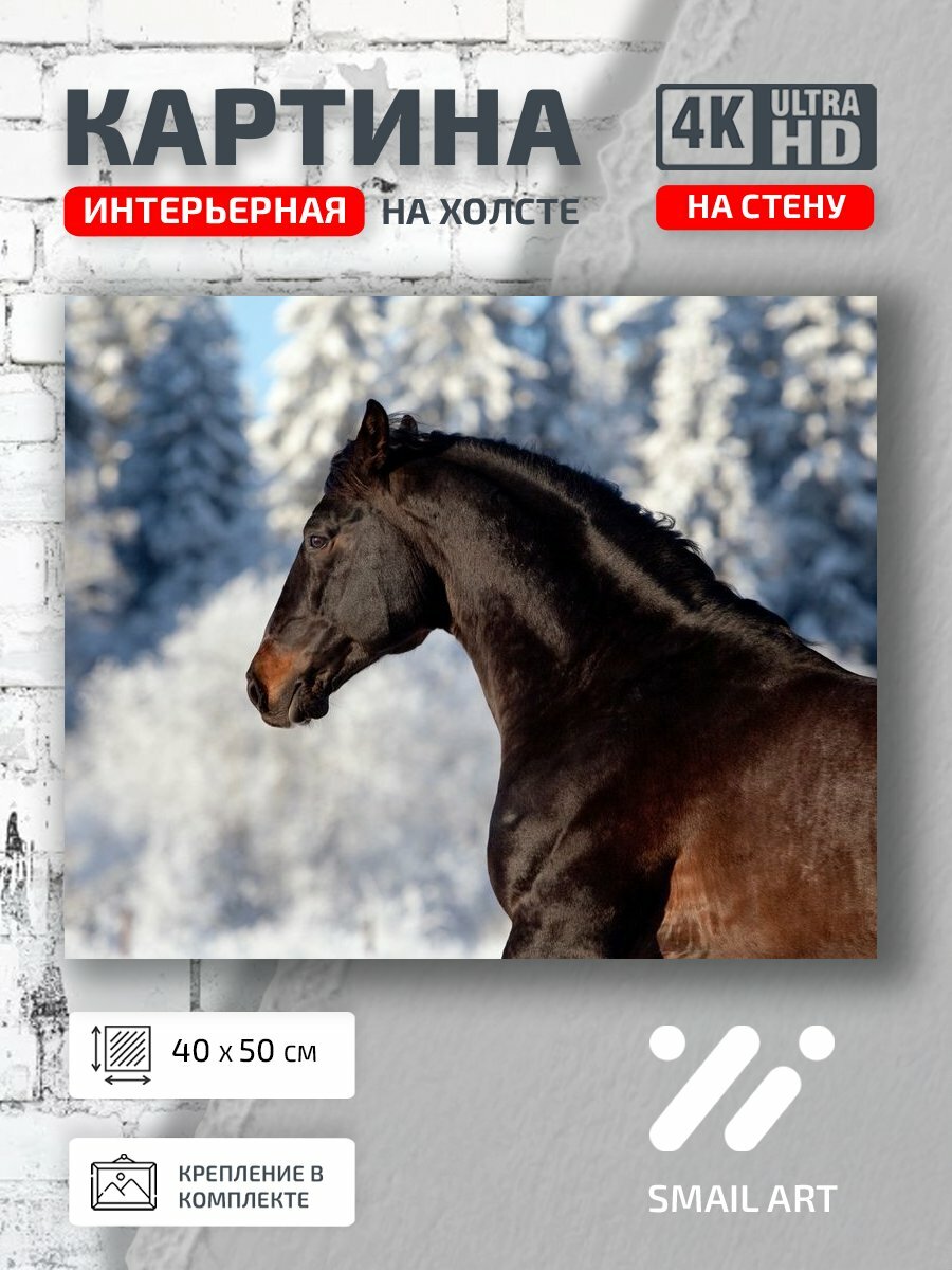 Картина на холсте интерьерная 40 на 50 на стену Конь Animal для спальни animal style декор