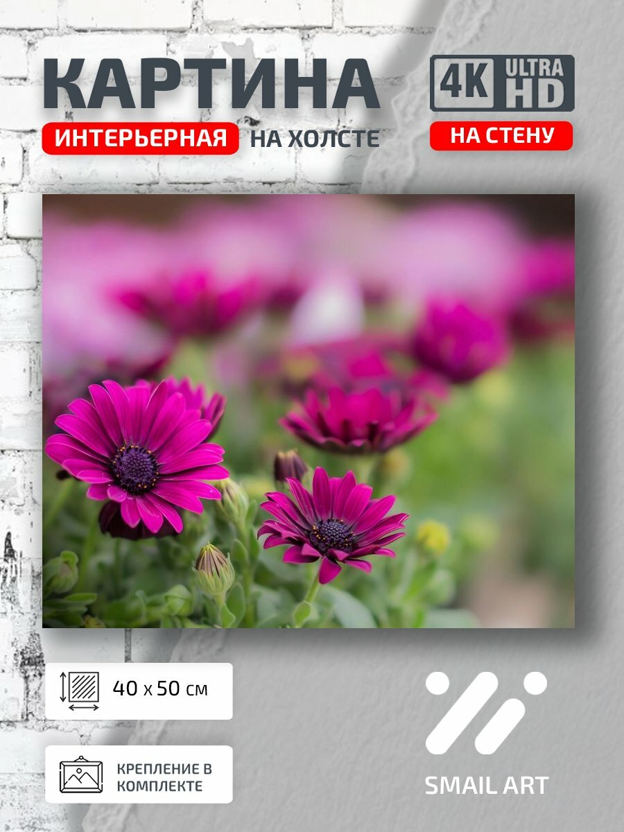 Картина на холсте интерьерная 40 на 50 на стену Фиолетовый Mood для кабинета атмосфера