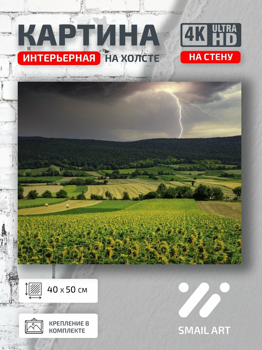 Картина на холсте интерьерная 40 на 50 на стену Молния Landscape для офиса пейзаж интерьер