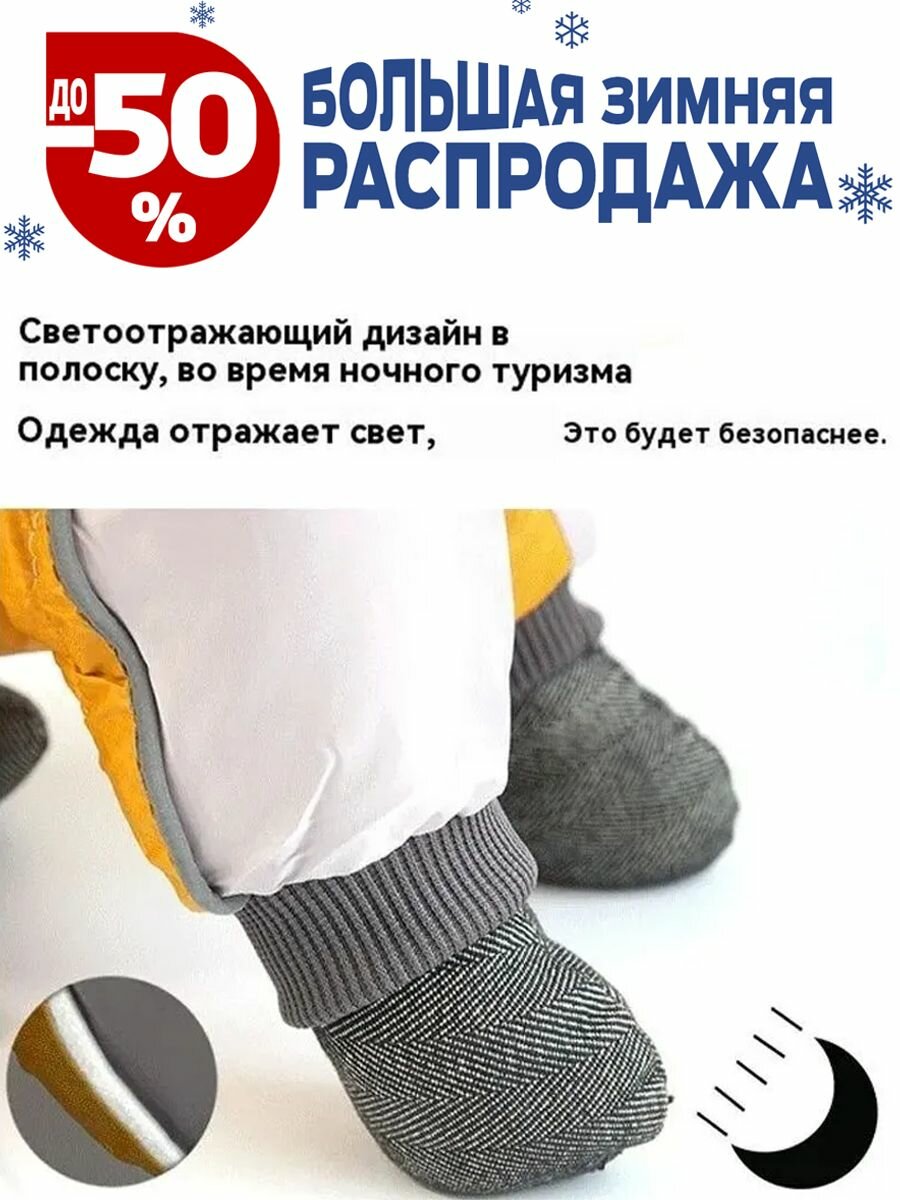 Одежда для животных — фото 1