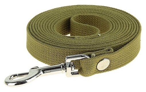 Поводок для собак Томикс, брезентовый, длина 2 м, ширина 25 мм