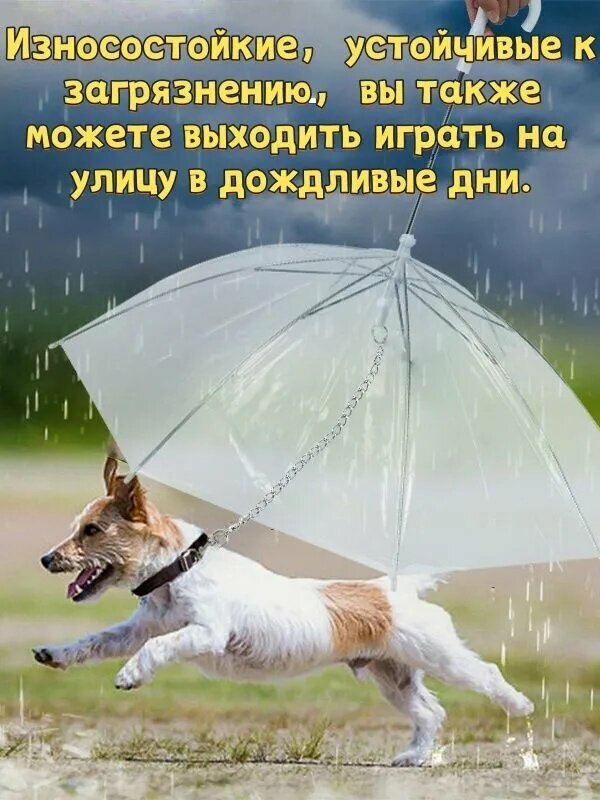 Зонт для собак регулируемый с поводком: Прозрачный