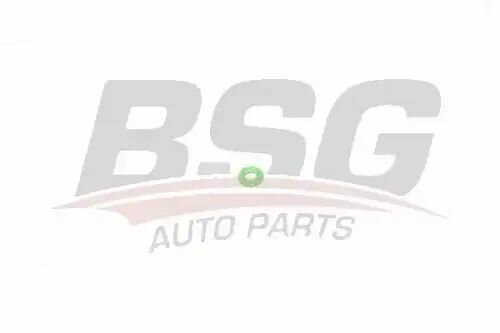 Кольцо уплотнительное форсунки bsg bsg 30-995-050