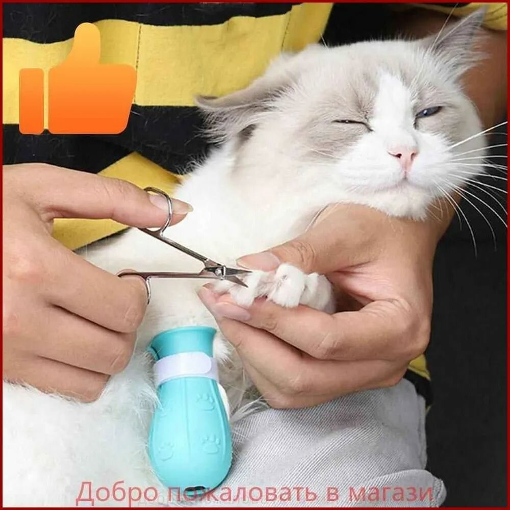 Антицарапки для кошек / Мягкие силиконовые чехлы для груминга, купания