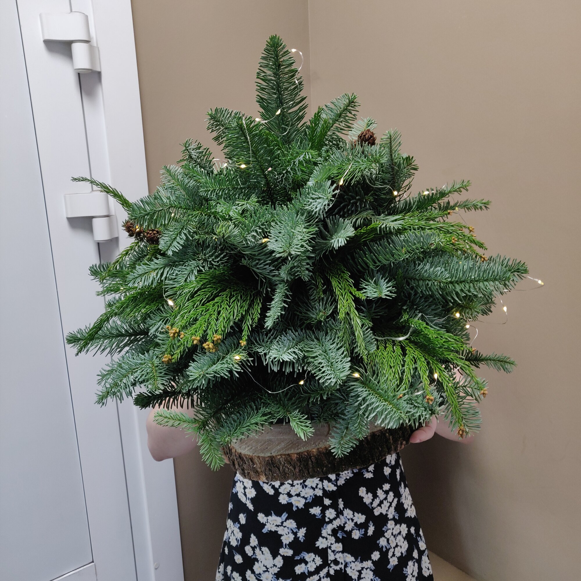 Живая Сказочная Новогодняя ёлочка из разных видов хвои нобилиса и мережки на деревянном спиле.