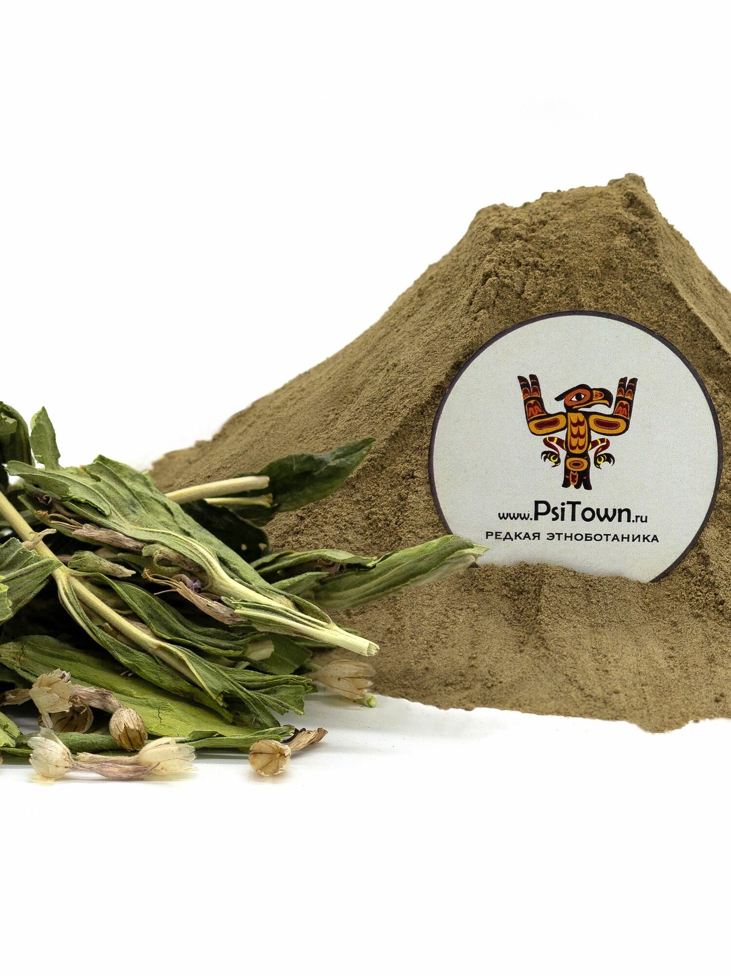 Аюга Туркестанская, 50гр. экстракт (Ajuga Turkestanica, Живучка)