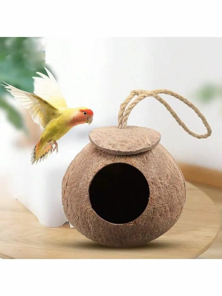 Большие гнезда с кокосовой скорлупой