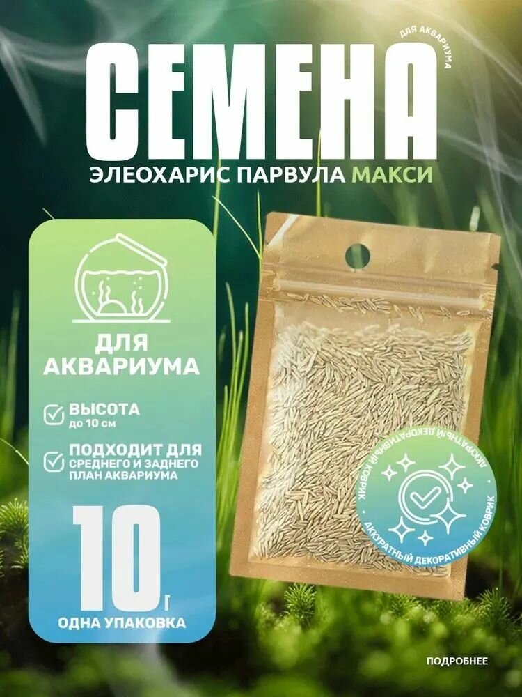 Семена растений для аквариума ("Элеохарис Парвула макси"), 10 г