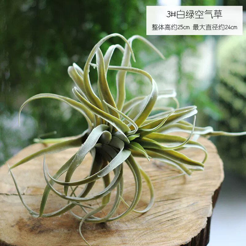 Имитация флокированного воздуха, ананаса, фигурных листьев, травы, большие суккуленты в пустыне, скандинавская