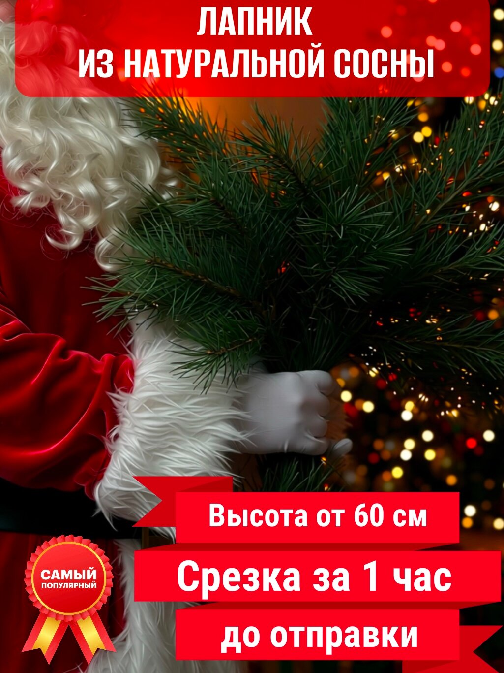 Лапник / Лапник новогодний / Ветки елки / Лапник сосновый / Лапник оптом / Лапник для декора / 5 штук (молодых елок)