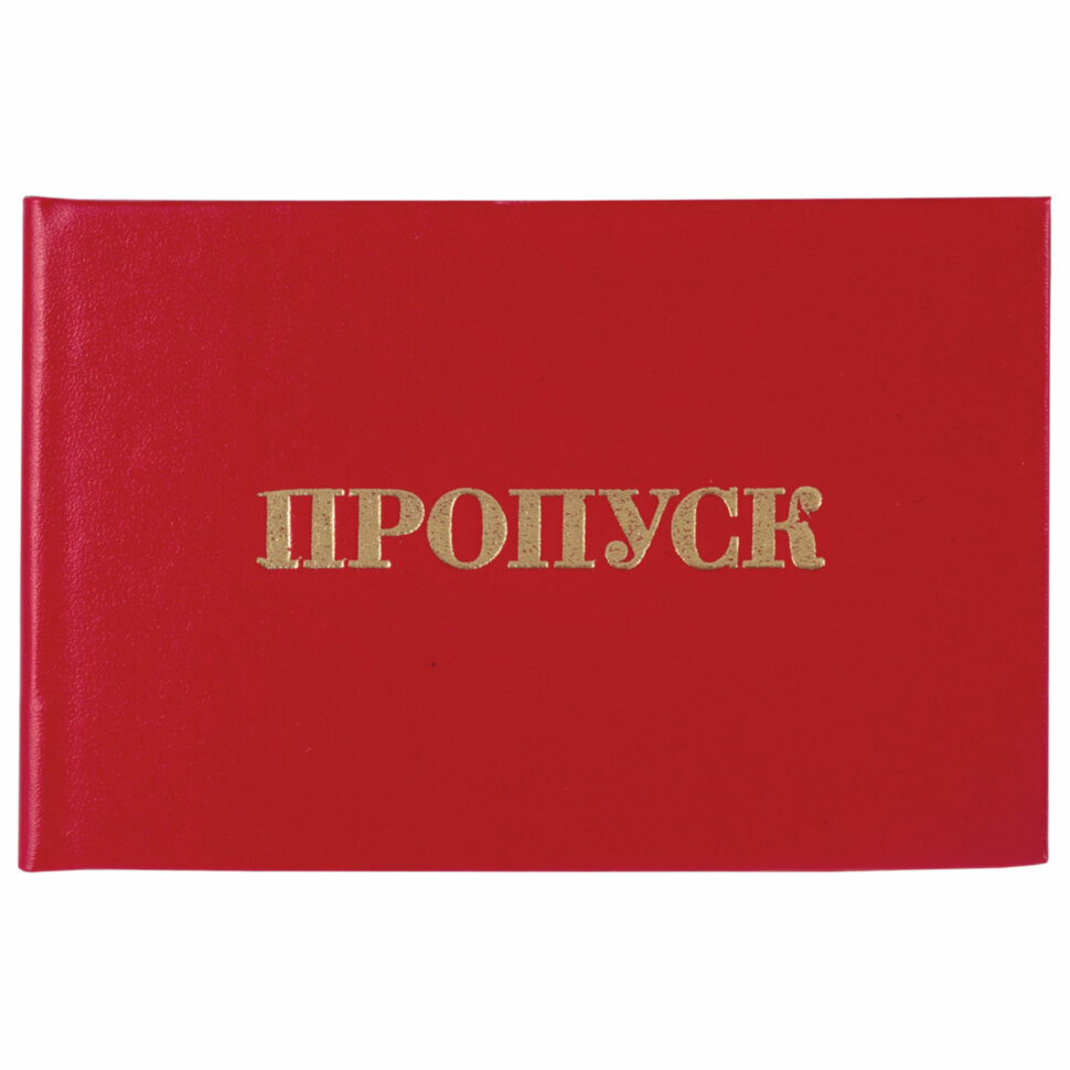 Бланк документа "Пропуск", 65х98 мм, STAFF, 129143, 129143