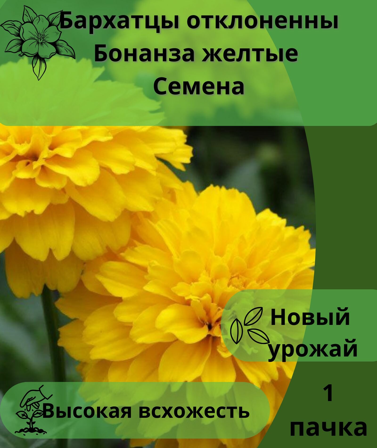 Бархатцы Бонанза желтые отклоненные, семена 10шт