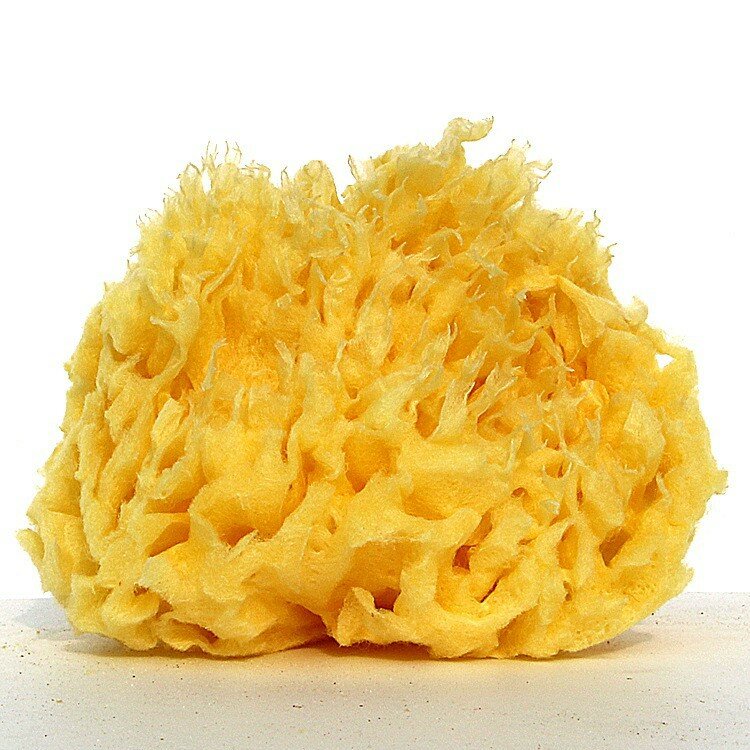 Натуральная греческая губка для умывания в виде сот, мягкая, удобная, впитывающая губка для ванны для взрослых