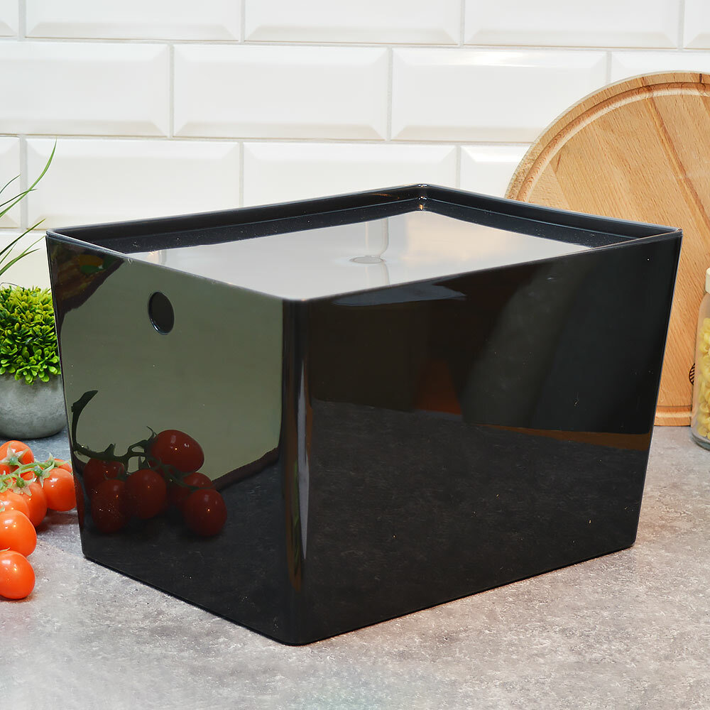 Контейнер для хранения 16л "Versa", прозрачно-черный