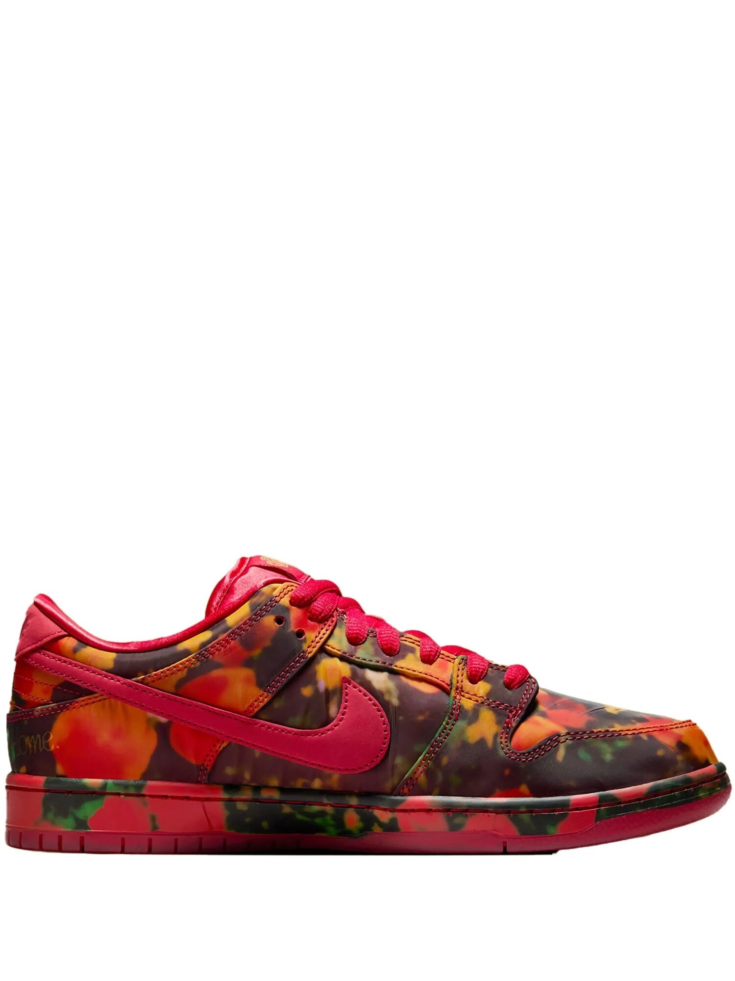 Кроссовки x The Wizard of Oz SB Dunk Low Pro