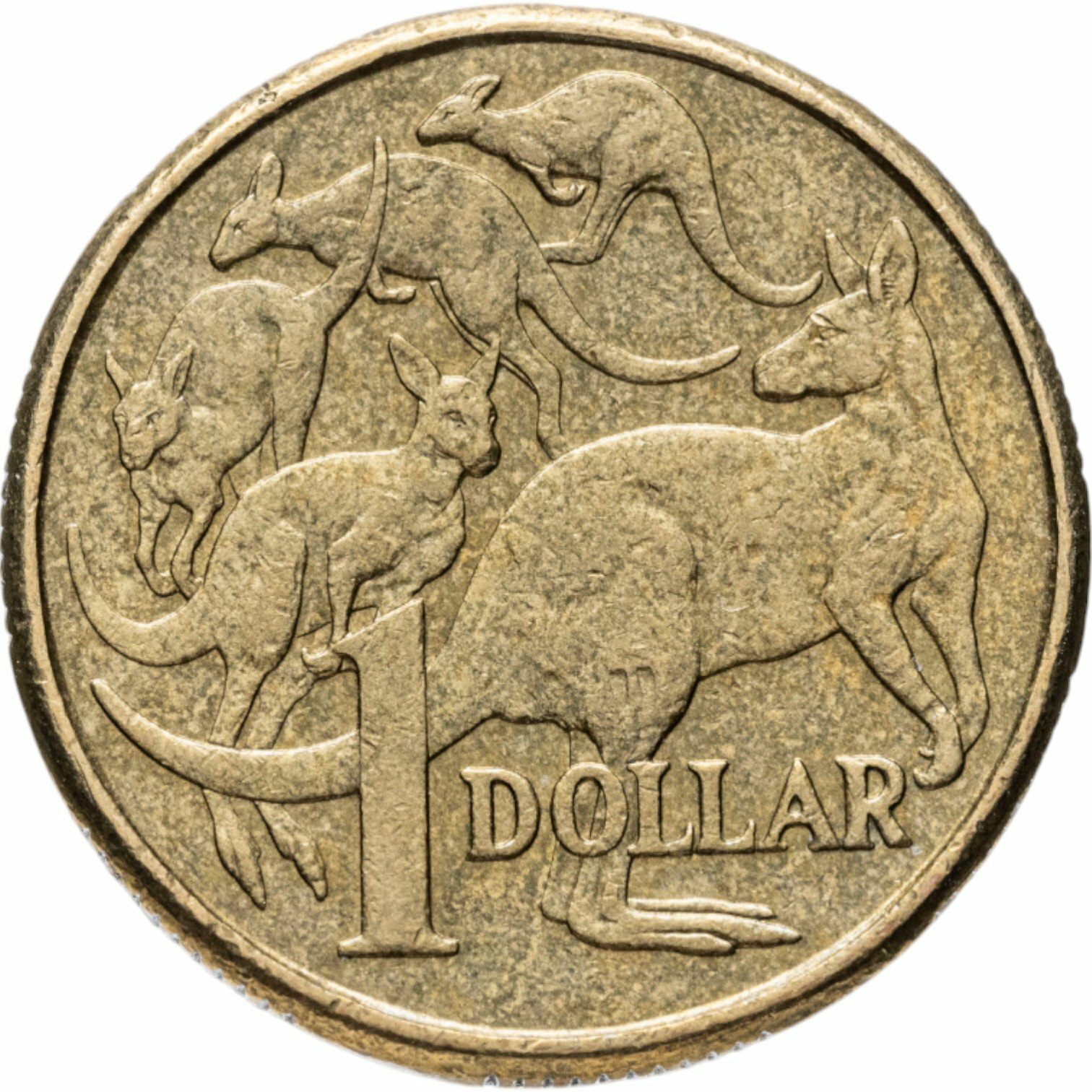 Австралия 1 доллар dollar 2010, Бронза, в сохранности VF-XF