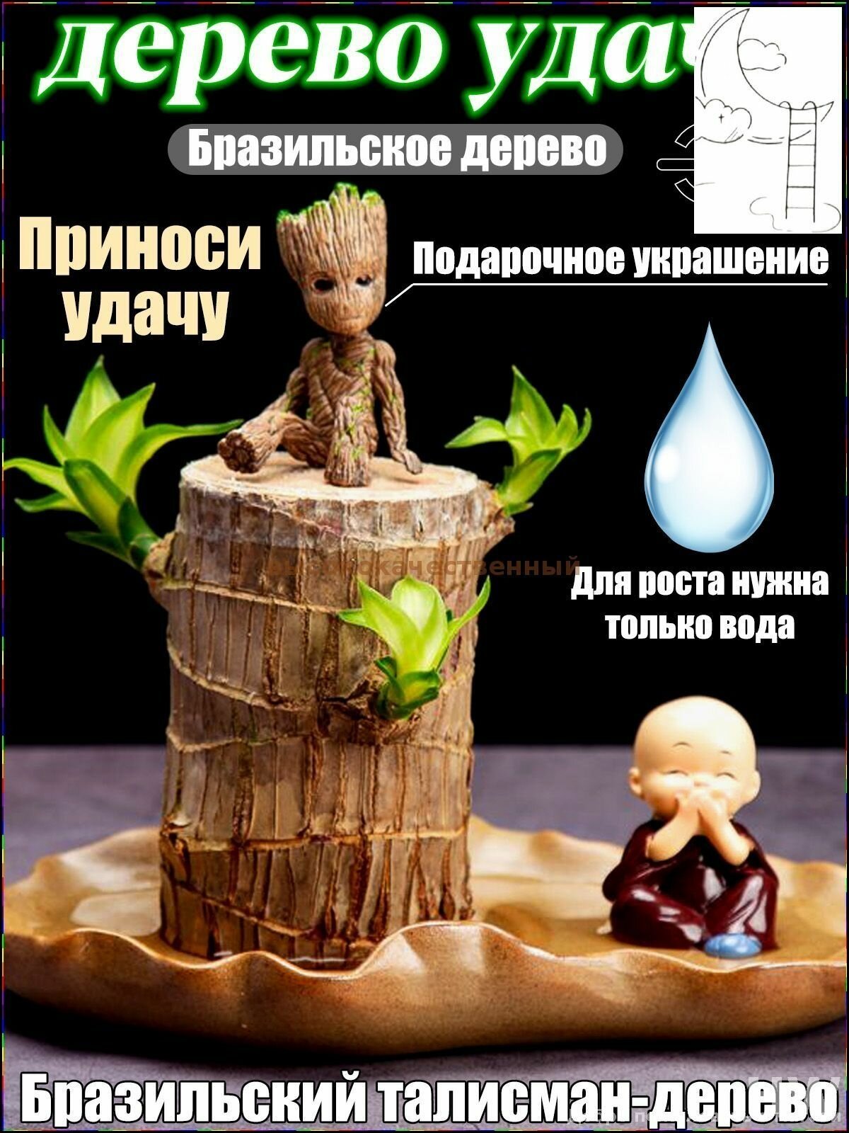 Бамбук удачи с фигуркой Грута живое комнатное растение в воде, стильный декор для дома и офиса, идеальный подарок на счастье и благополучие-
