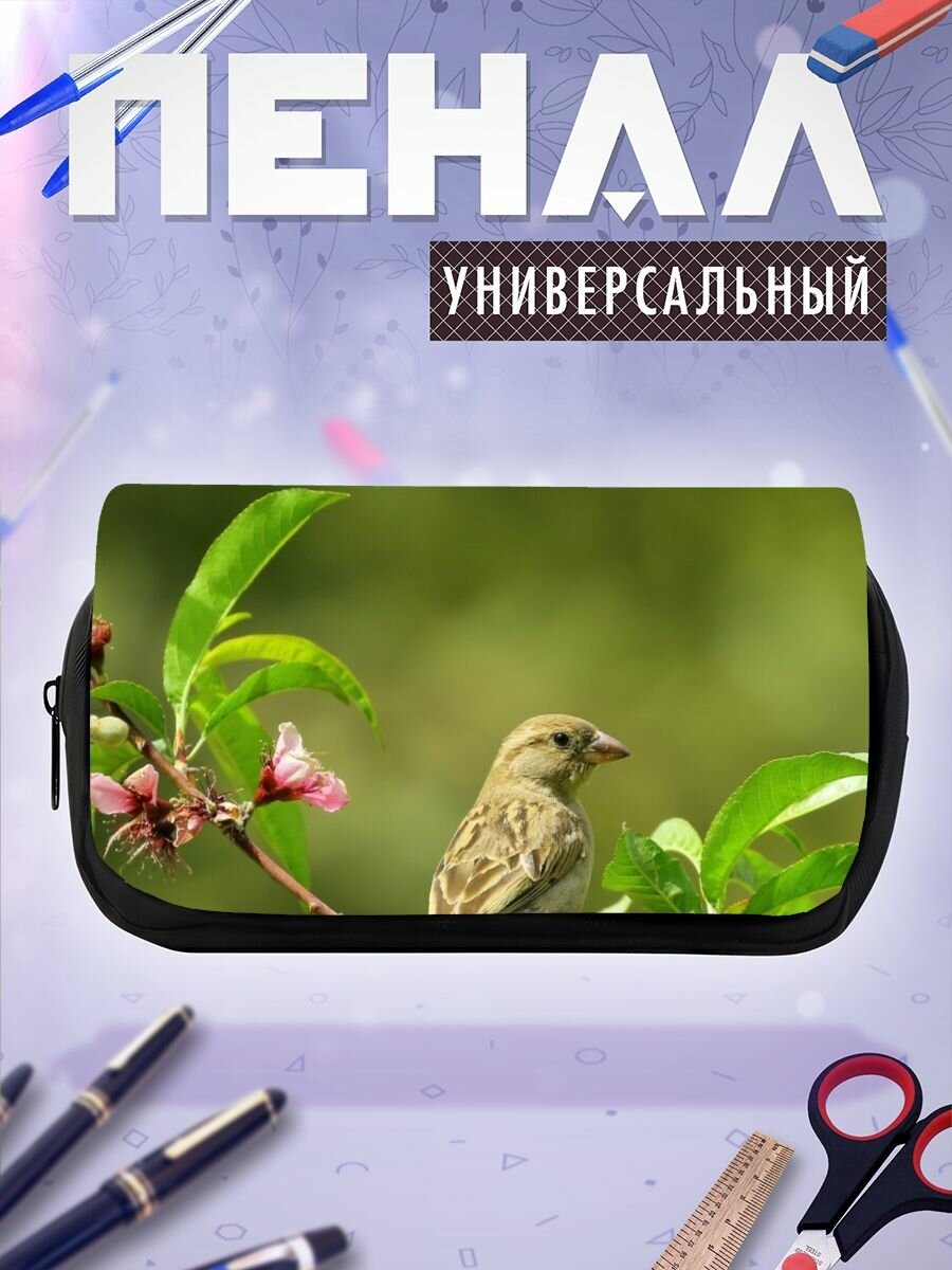 Школьный пенал птица клюв