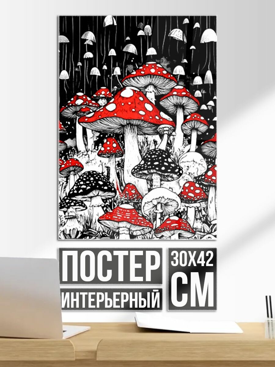 Постер на стену Мухоморы и поганки