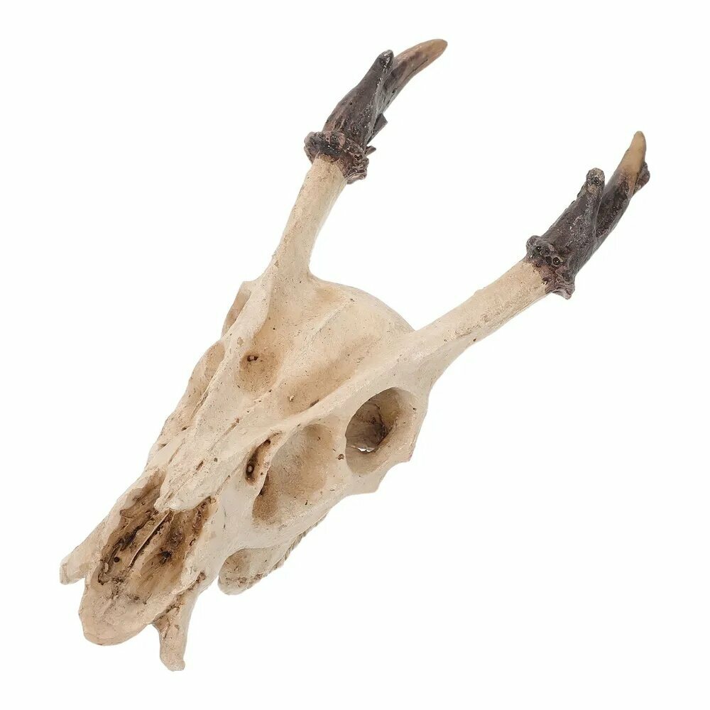 Реалистичный череп из смолы для террариума, укрытие для рептилий и змей, с цветом слоновой кости