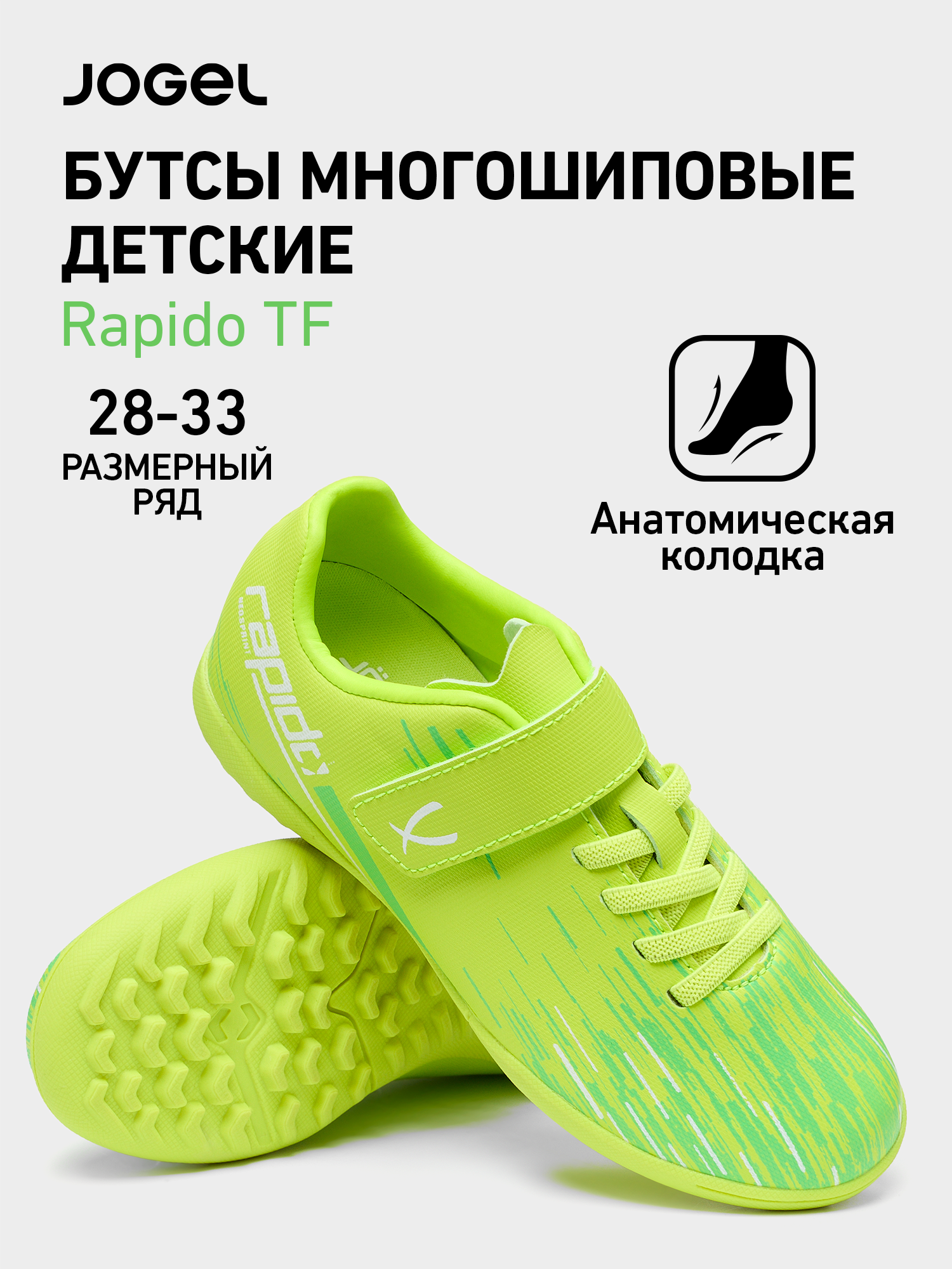 Сороконожки