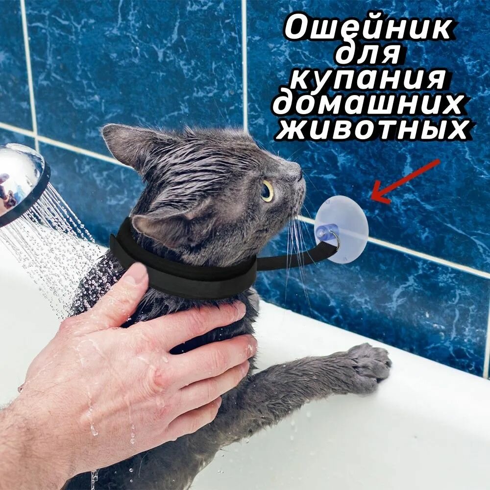 Универсальный поводок для купания кошек и собак, присоска для купания домашних животных, фиксированный ошейник