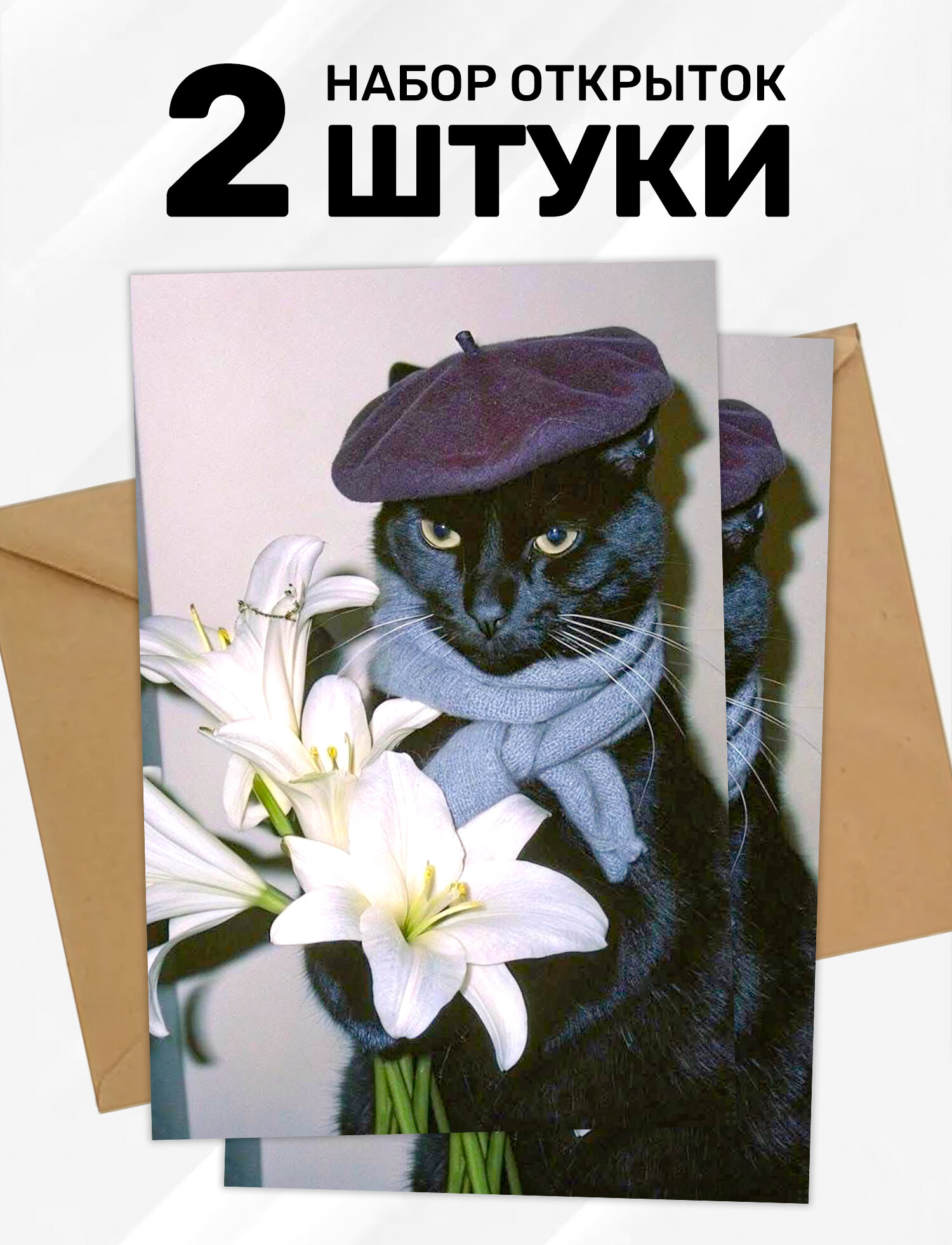 Набор "Черный кот и цветы" 2 открытки (подходит под рамку 10х15см, плотная бумага, кошка, цветы, поздравление)