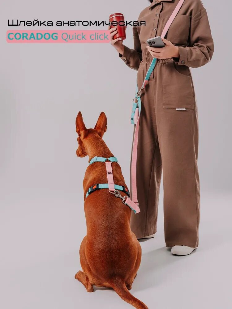 Шлейка прогулочная анатомическая для средних пород собак, CORADOG Quick click, размер S, цвет розовый, мятный