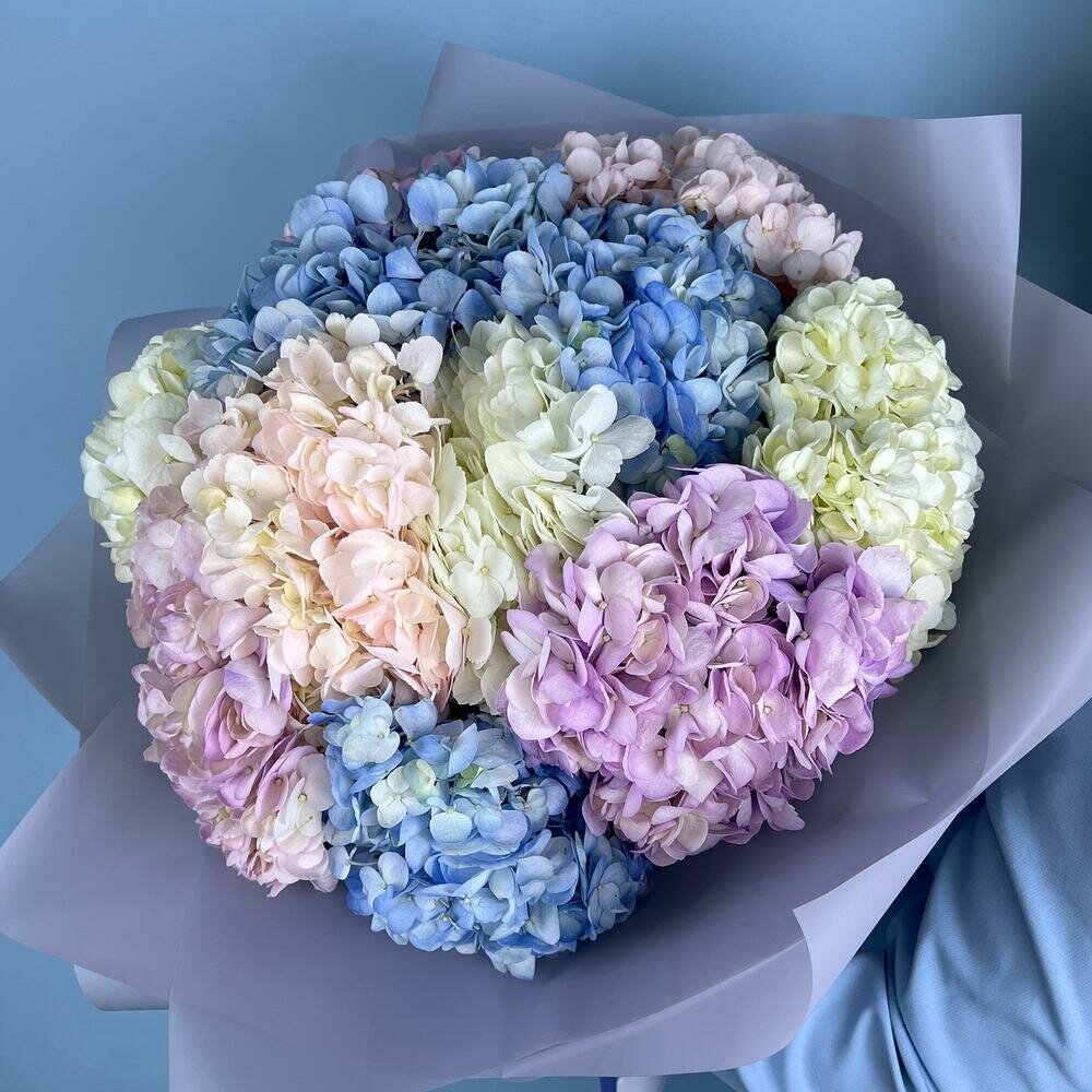 Букет "Облако гортензий" из разноцветных гортензий, 11 шт, круглый