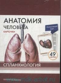 Книга "Анатомия человека : Спланхнология : 49 карточек"