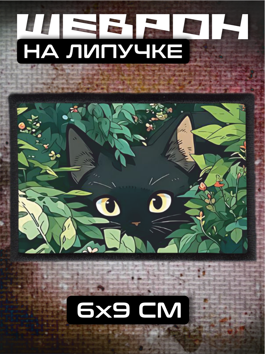 Шеврон на липучке Котик кот