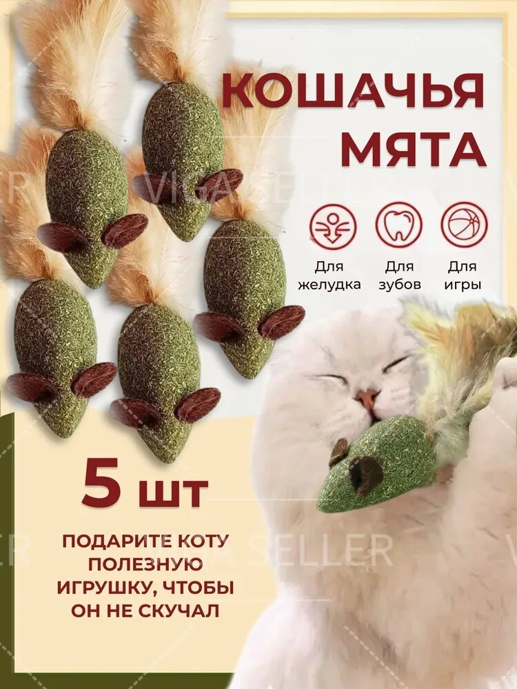 Кошачья мята, шарик мышка(5)