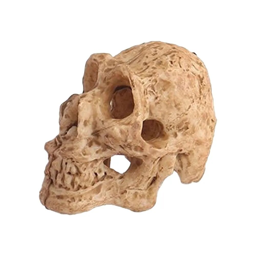 Мини-череп Декор Рыба Пейзаж DIY Bonsais Ремесла Миниатюрная имитация для аквариума